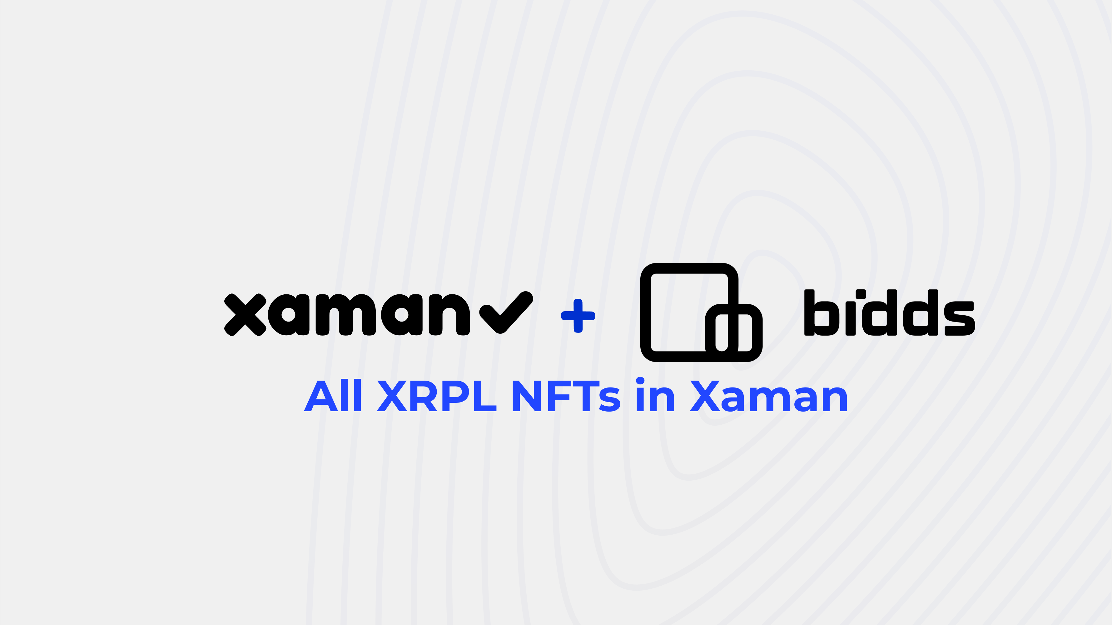 NFTs Just Got Easier — Meet the Bidds xApp in Xaman | Xaman